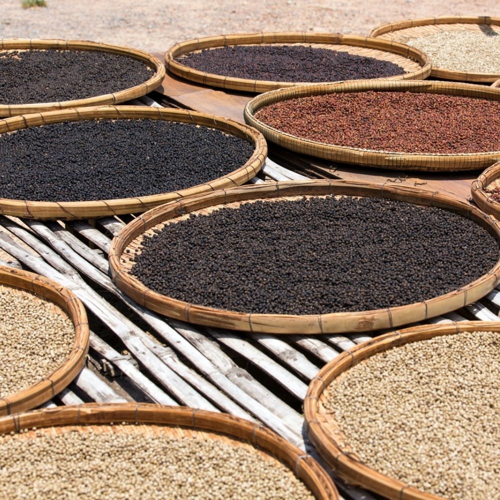 How is black pepper trading fraud detected? | Kampotpepper.cc